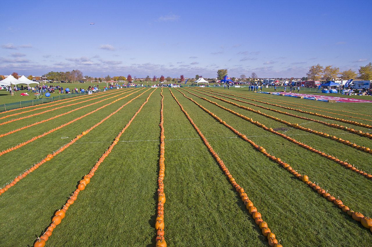 How to be the ‘pumpking’ this year! - BBC Food