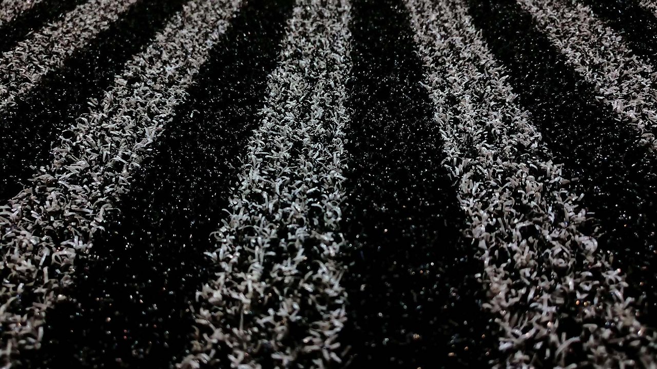 Scotland - Sustainability - Plastic and sustainability - 2nd Level - P5 ...