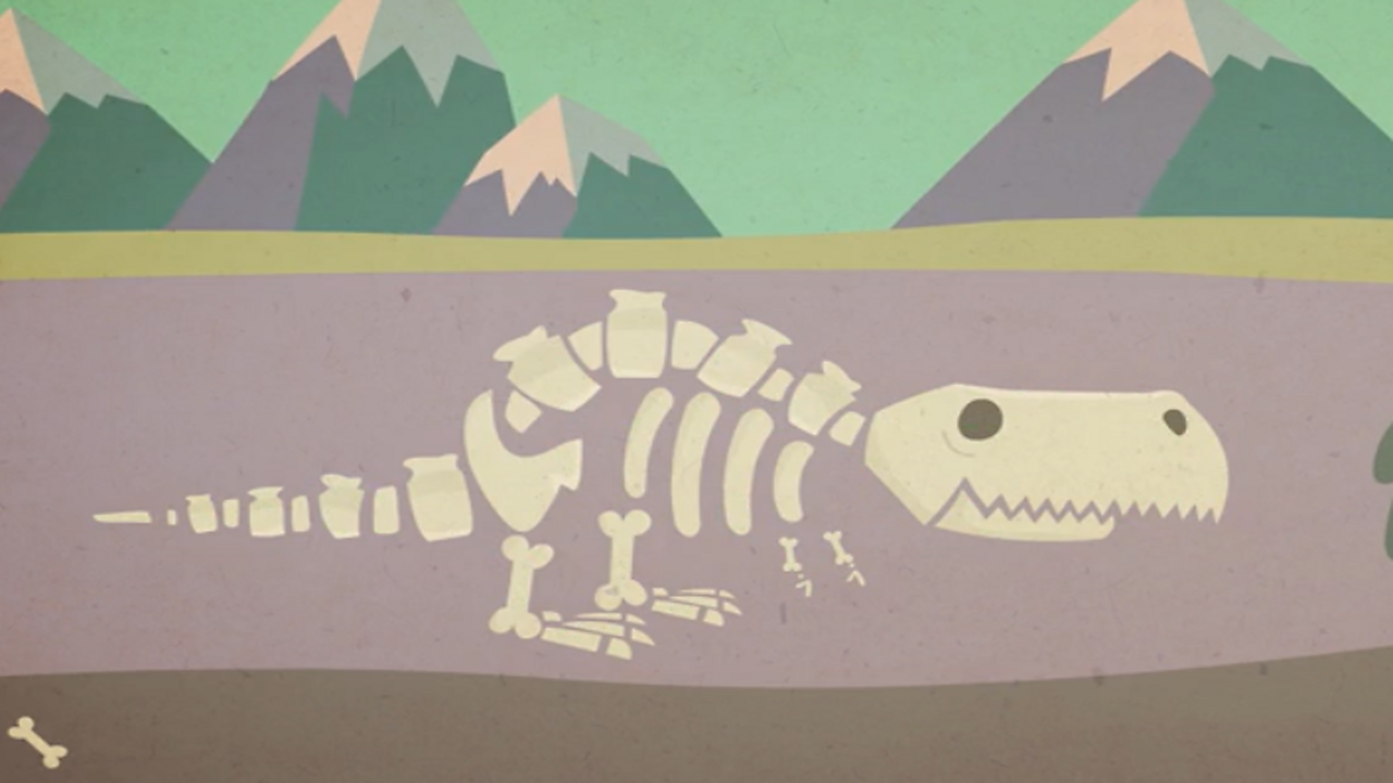 What can fossils tell us? - BBC Bitesize