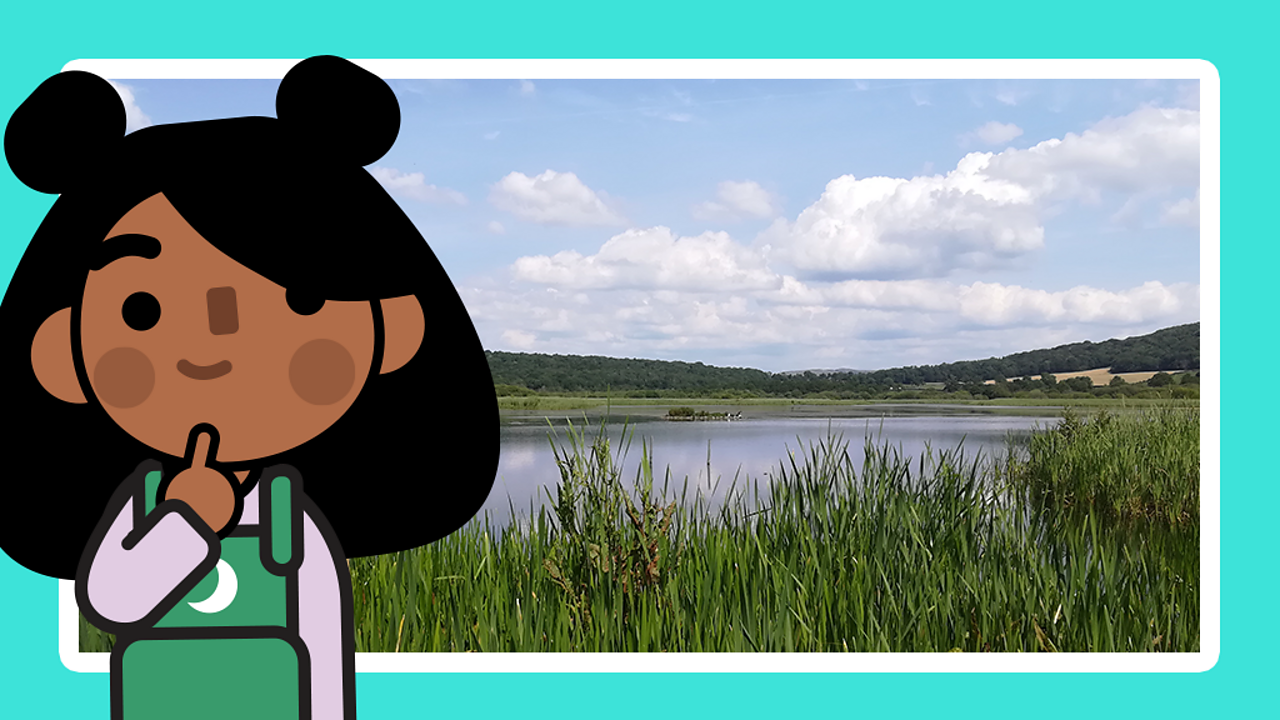 Explainer: Why do we need to conserve our environment? [KS1] - Videos ...