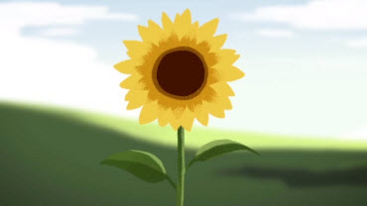 The Life Cycle Of A Plant BBC Teach