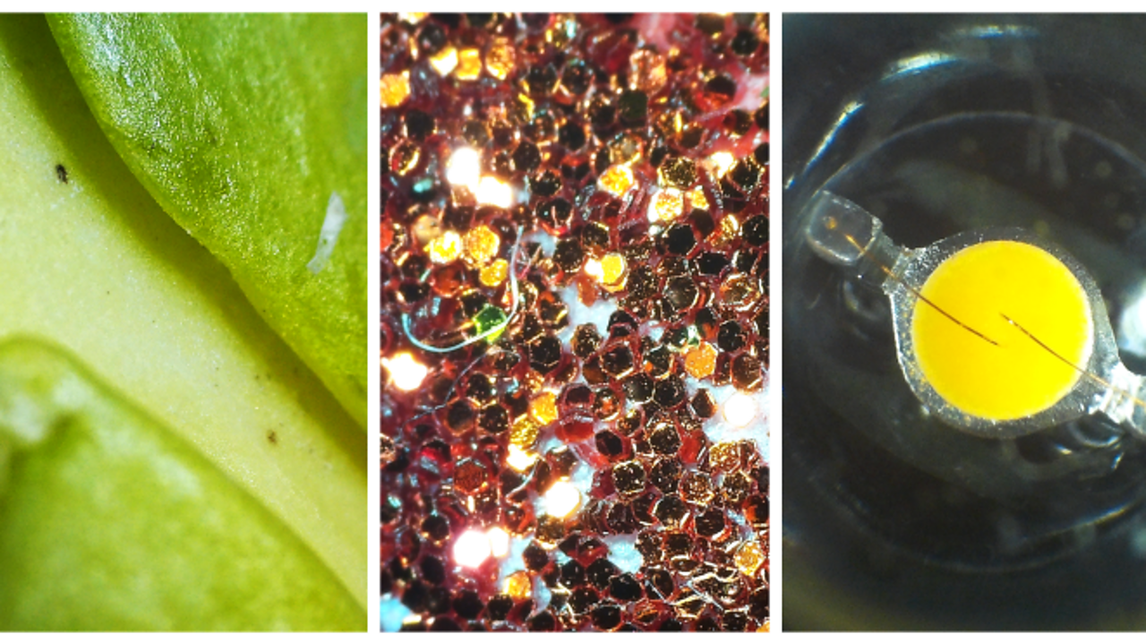 1952 and 2022: Comparing King Charles III and Queen Elizabeth II’s ...