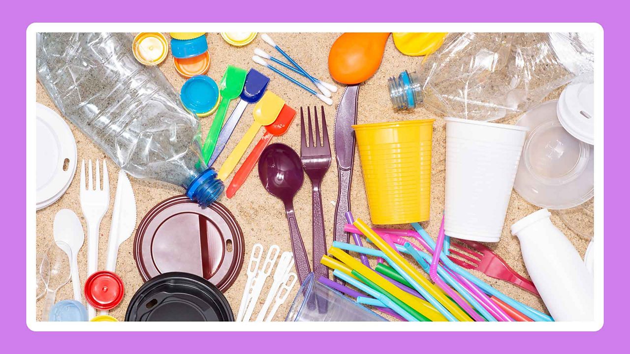 Resources and sustainability | KS2 Citizenship | Primary - BBC Bitesize