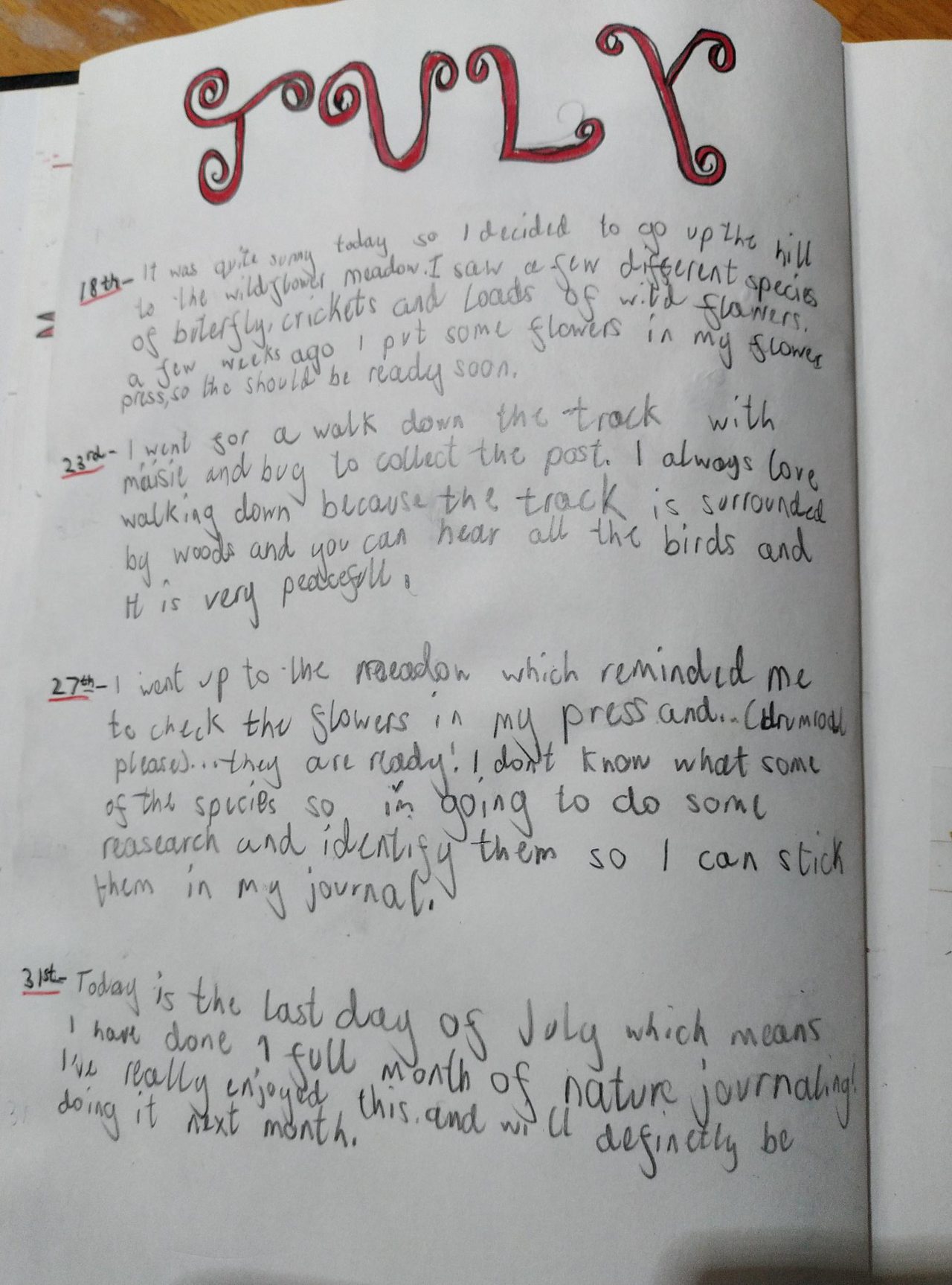 How to start a nature journal - BBC Bitesize