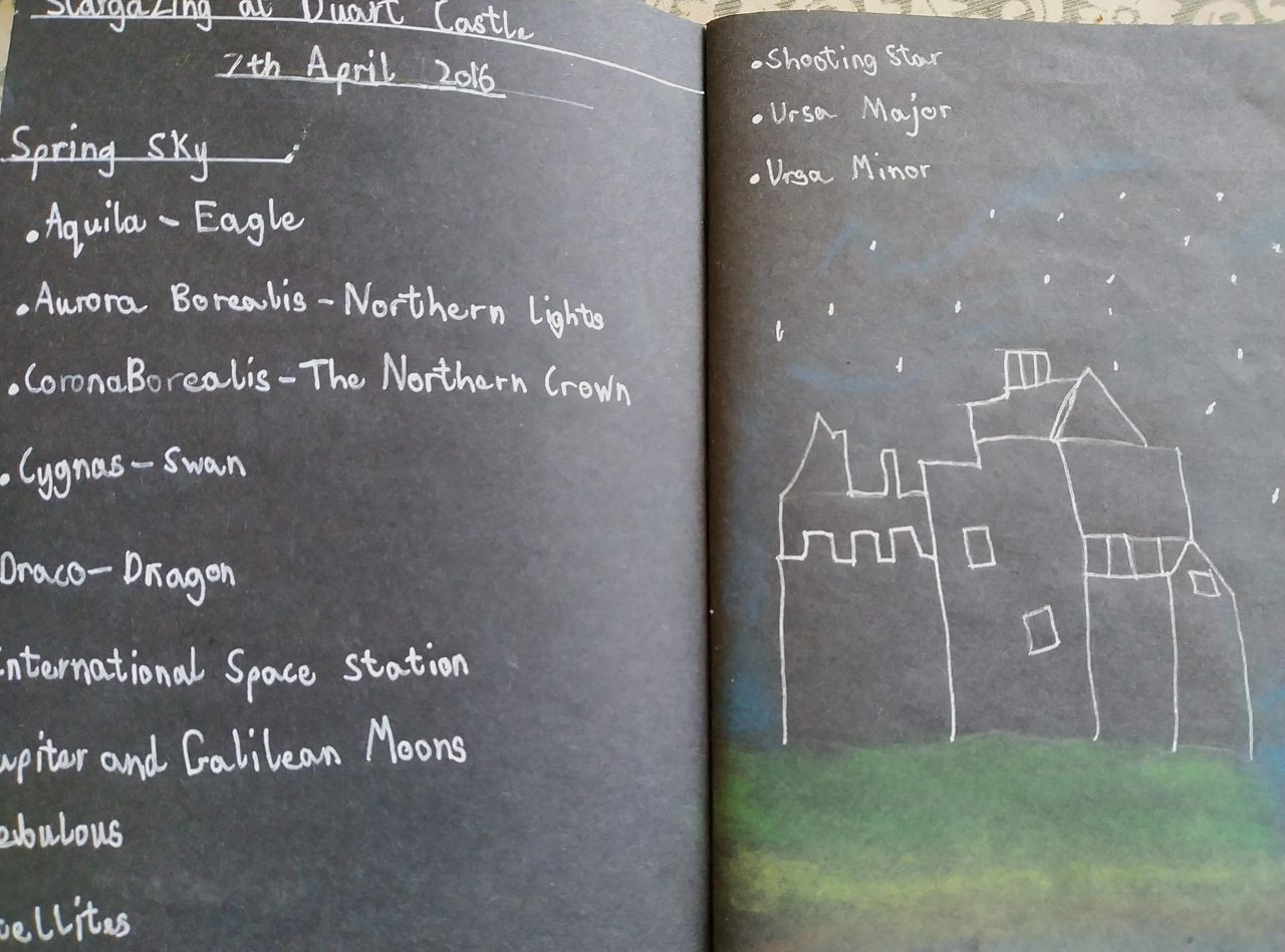 How to start a nature journal - BBC Bitesize