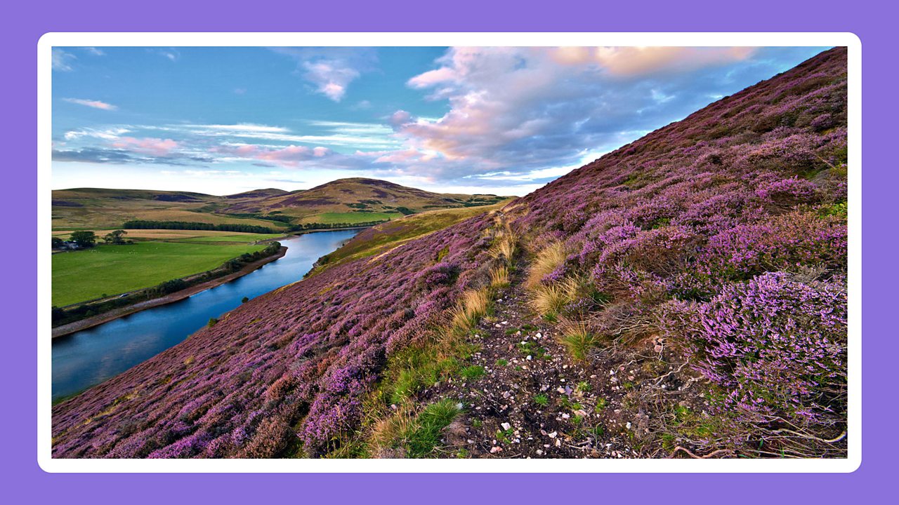 Countryside of the UK | KS2 Geography | Year 3 and Year 4 - BBC Bitesize