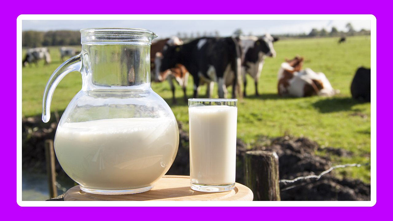 Food and farming in the UK | KS2 Geography | Year 3 and Year 4 - BBC ...