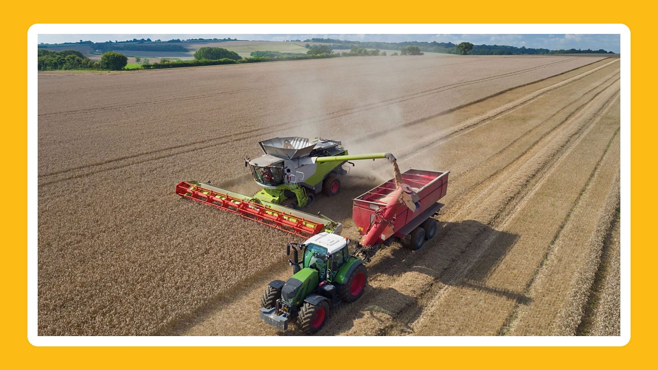 Exploring food and farming in the UK | KS2 Geography | Year 5 and Year ...