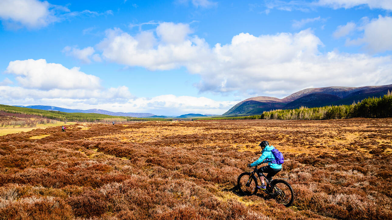 Scotland - Geography - Changing land use - Glen Feshie - P5, P6, P7 ...