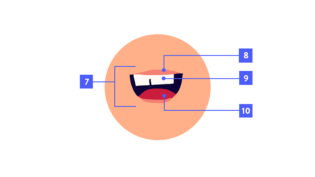 Learn vocabulary for health and fitness in English - BBC Bitesize