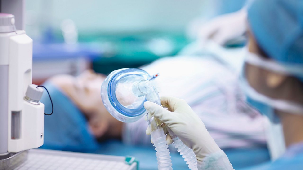 How did our ancestors get their sleep? A short history of sleeping ...