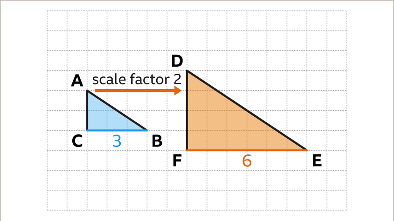 Enlargement KS3 Maths BBC Bitesize BBC Bitesize