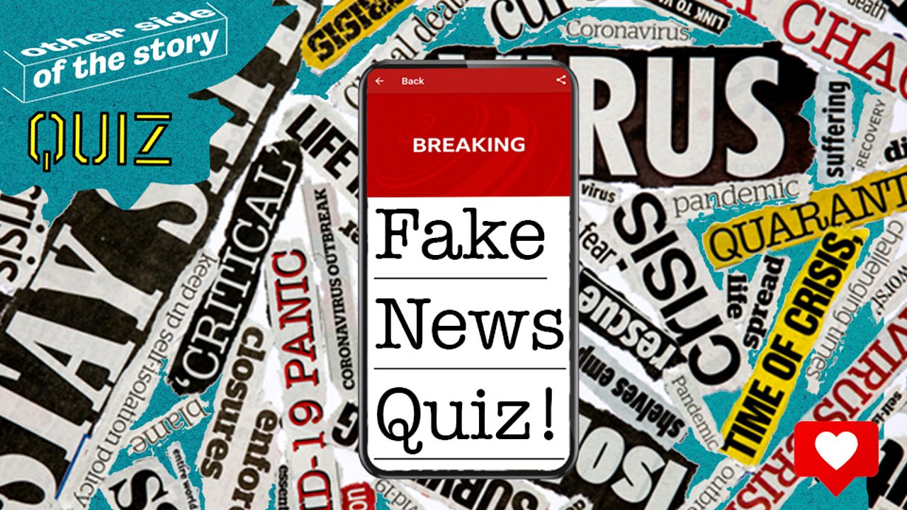 QUIZ: Can you spot the festive fake news? - BBC Bitesize