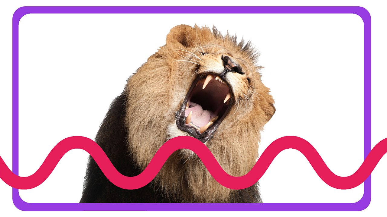 Vibrations - BBC Bitesize