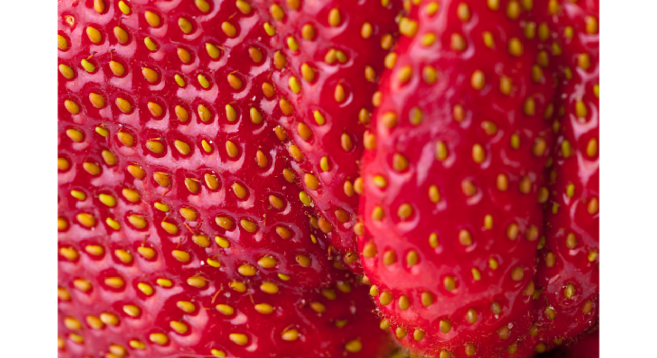 Close Up Photography Ideas