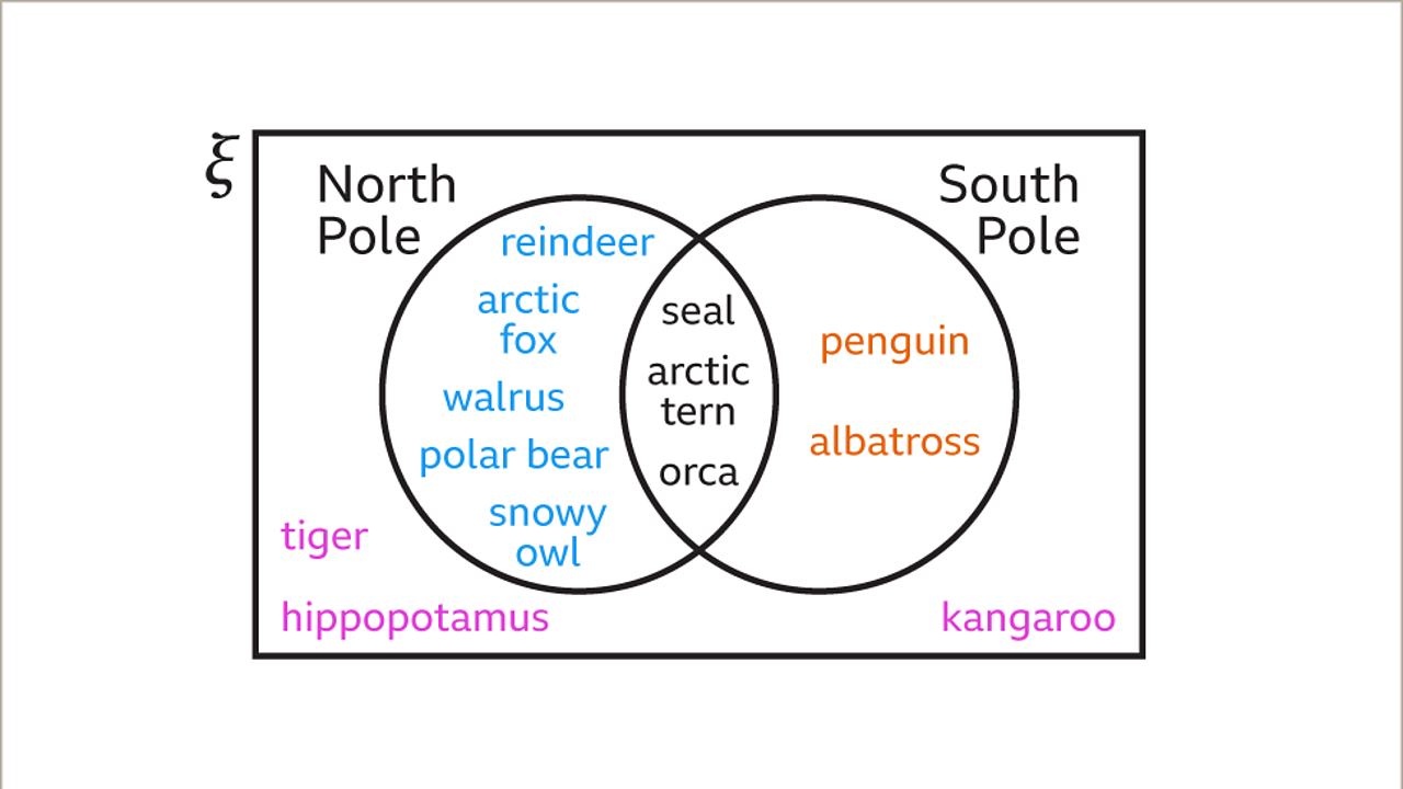 How to find probabilities from Venn diagrams - KS3 Maths - BBC Bitesize ...