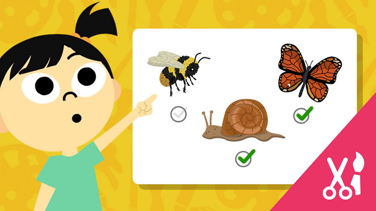 How to make a bug hotel - EYFS - Reception - BBC Bitesize