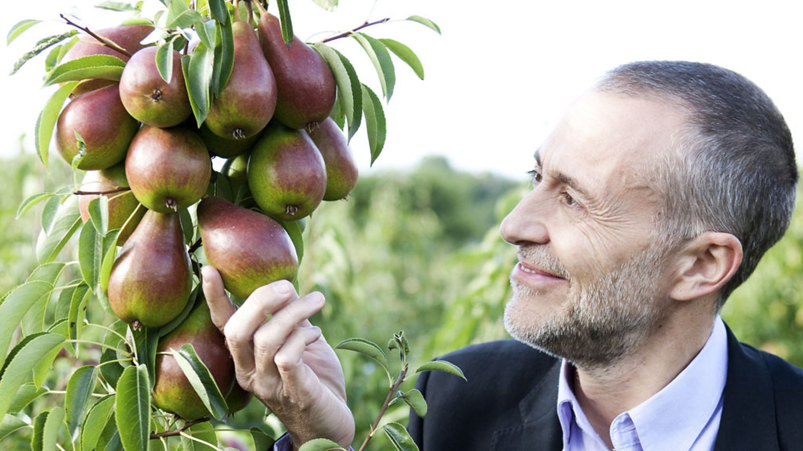 Pear tart with Stilton and pistachios recipe - BBC Food
