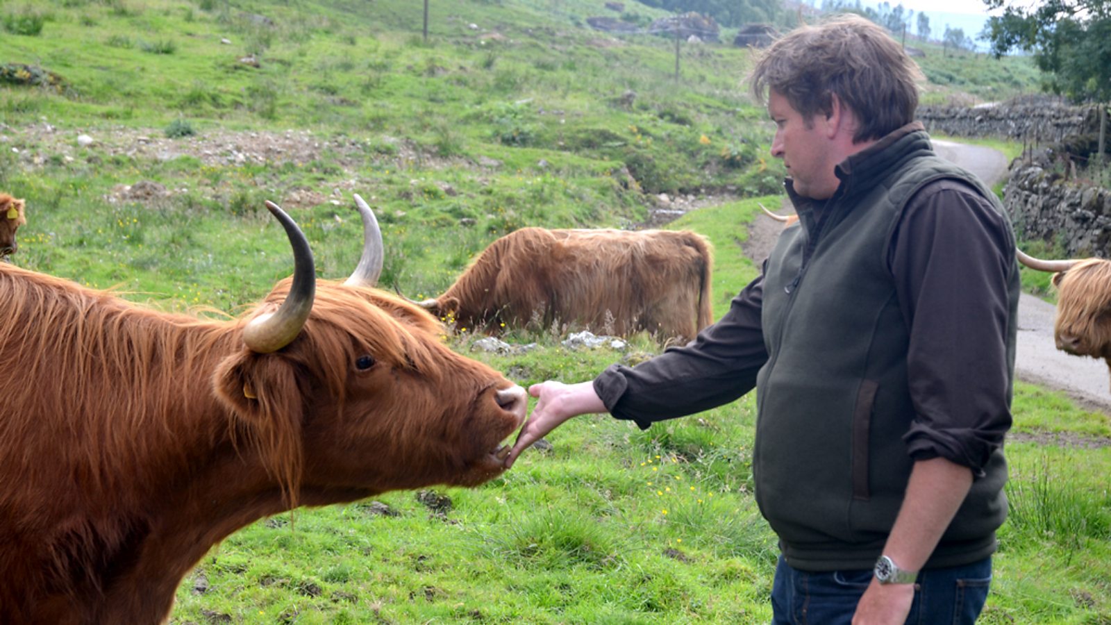 Highland beef salad recipe - BBC Food