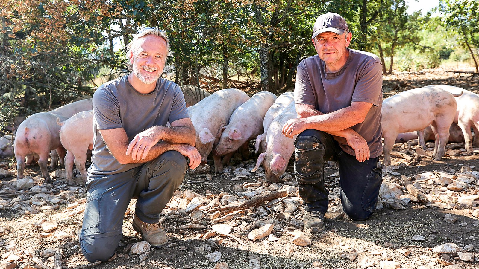 Marcus Wareing Simply Provence episodes - BBC Food