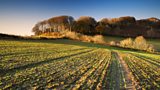 BBC Radio 4 - Farming Today