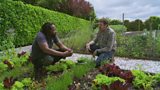 BBC Two - Gardeners' World