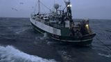BBC One - Trawlermen: Hunting the Catch