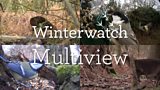 BBC Two - Winterwatch - Episode guide