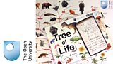 BBC One - Charles Darwin and the Tree of Life