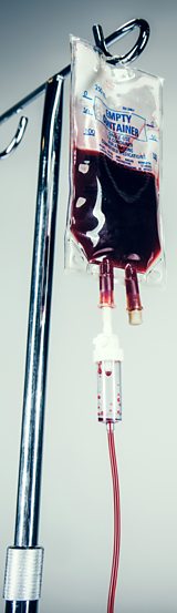 BBC Radio 4 - Radio 4 in Four - Thirteen blood facts to absorb