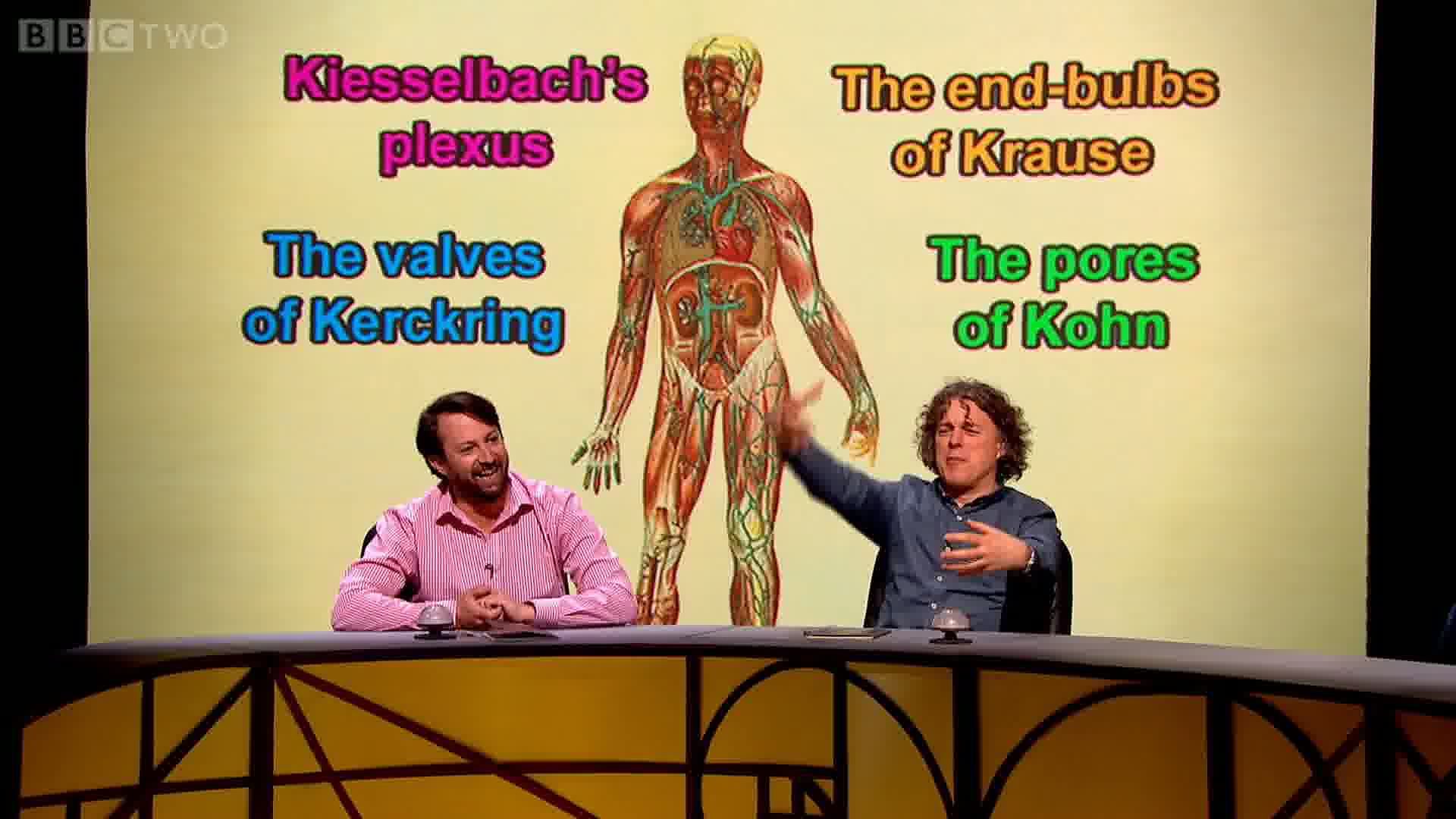 BBC Two - QI, Series K, Knees & Knockers, Where are your end-bulbs of ...