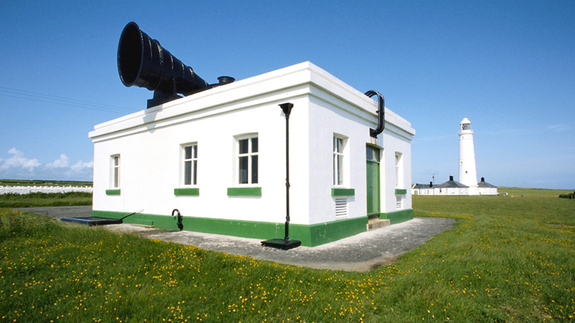 The Foghorn: A Celebration