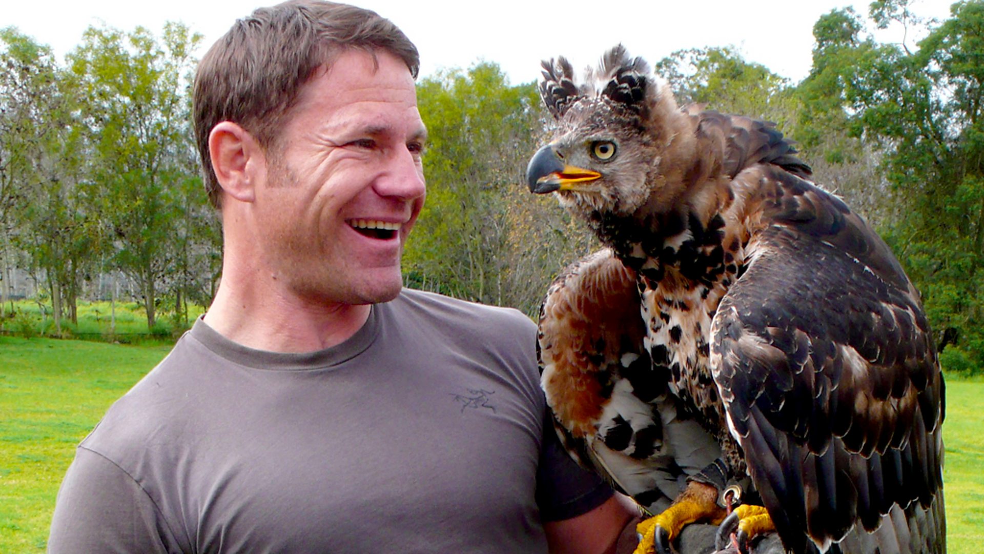 BBC iPlayer - Deadly 60 - Series 3: 9. South Africa 2