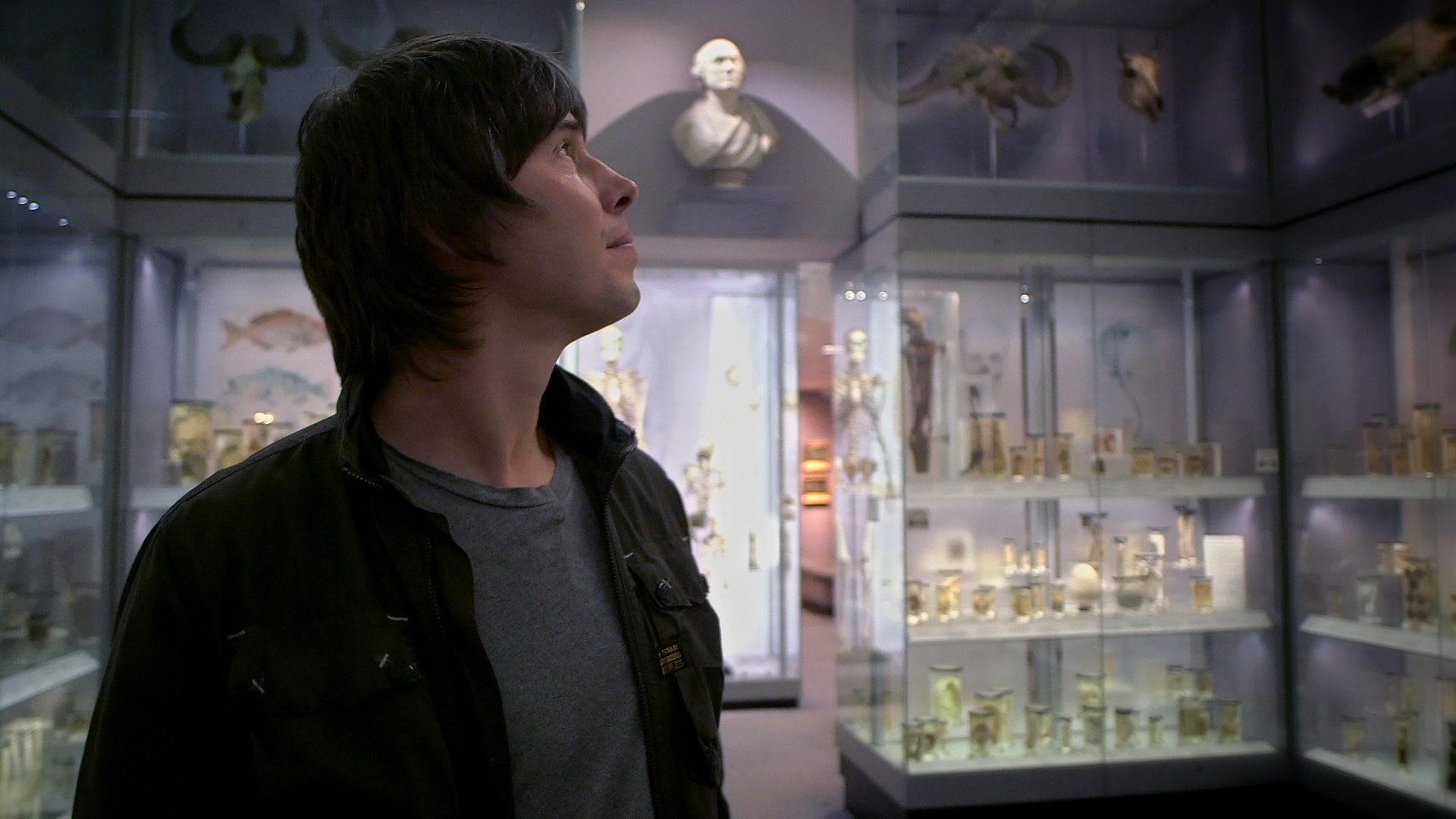 BBC Two - Science Britannica - Learning Zone, John Hunter and public ...