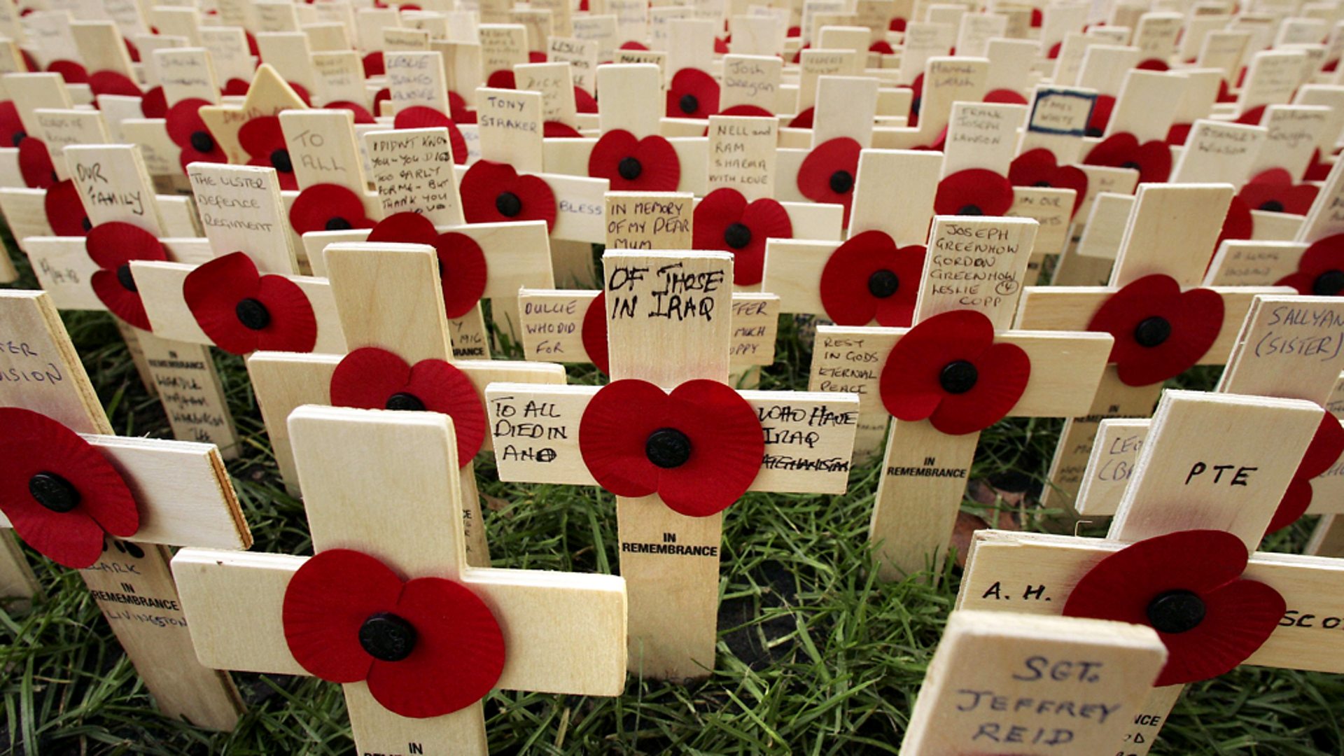 Remembrance Day Animation Bbc