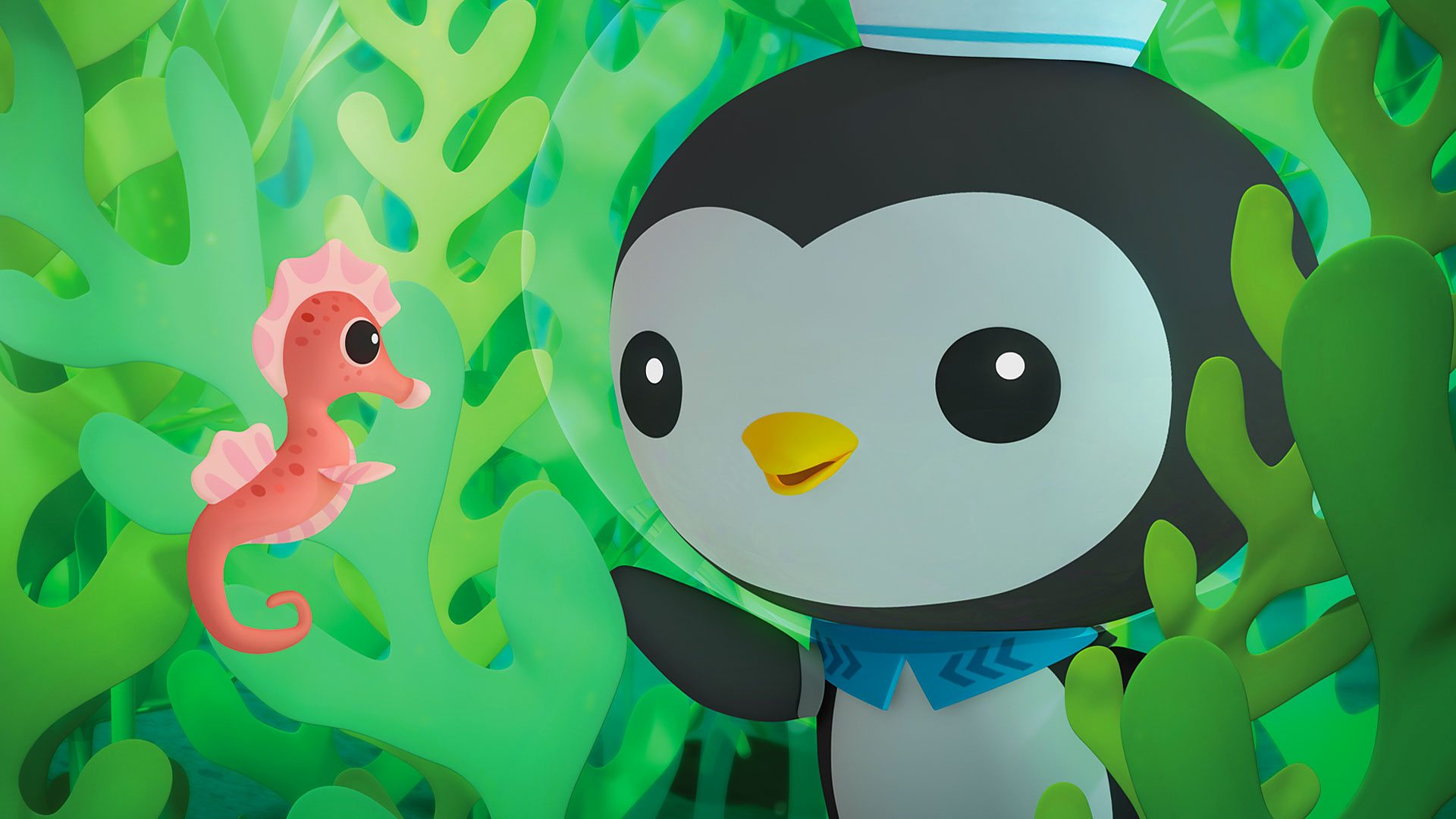 BBC iPlayer - Octonauts - Series 1: 29. The Seahorse Tale