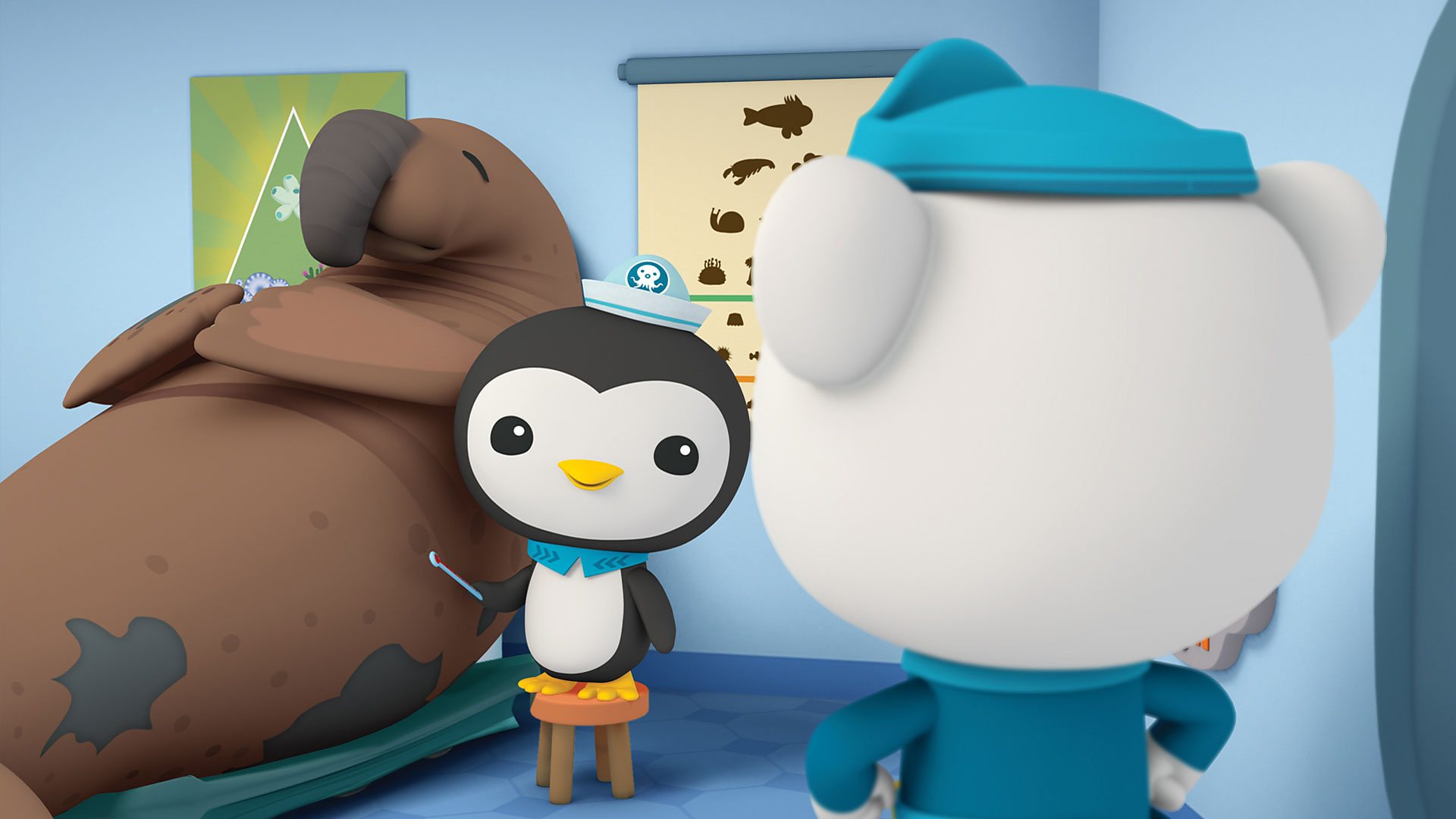 BBC iPlayer - Octonauts - Series 1: 39. The Enormous Elephant Seal