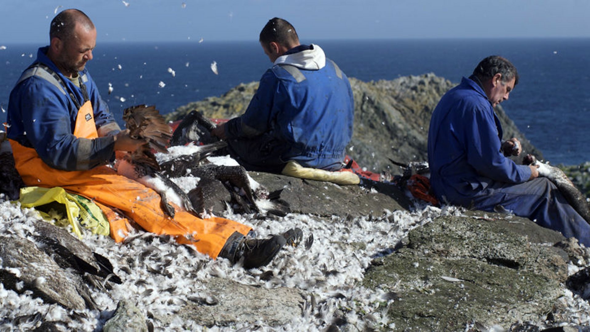 BBC Two - The Guga Hunters of Ness, On the Island