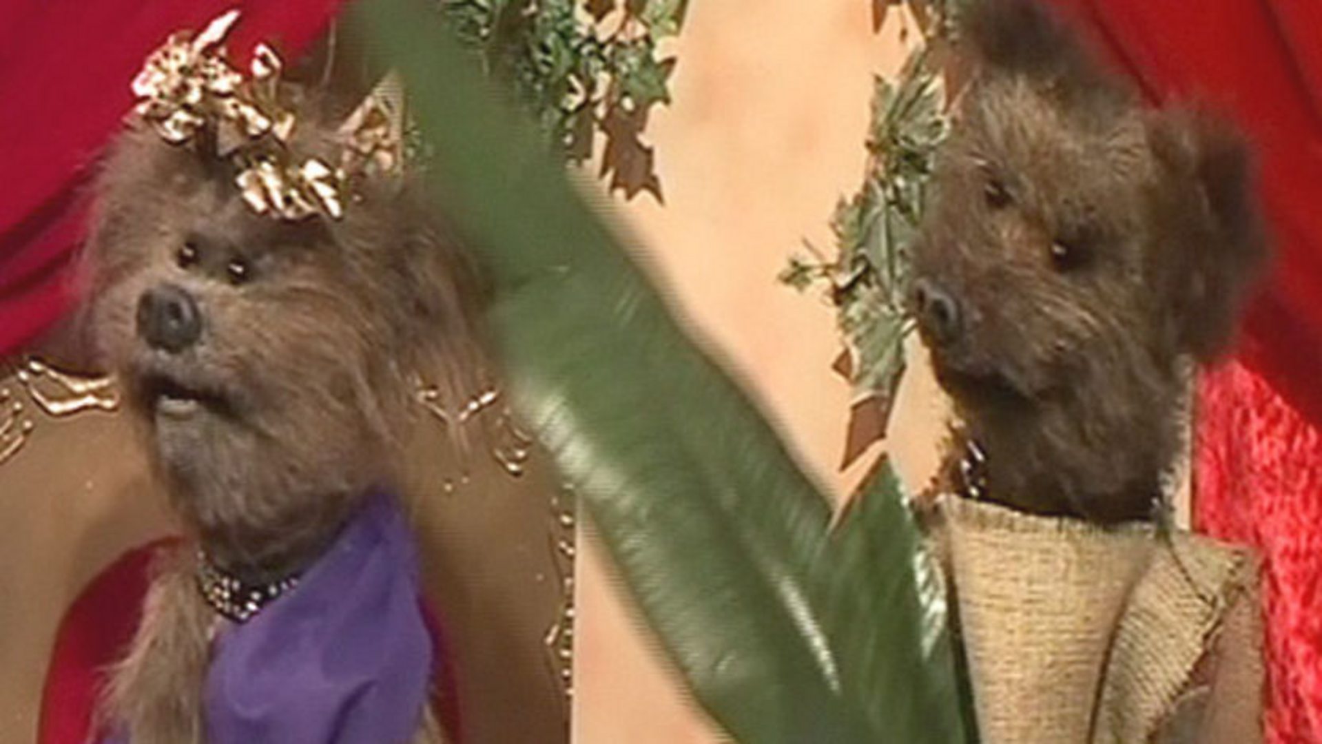 CBBC - Iain and Hacker, Dodge and Hacker