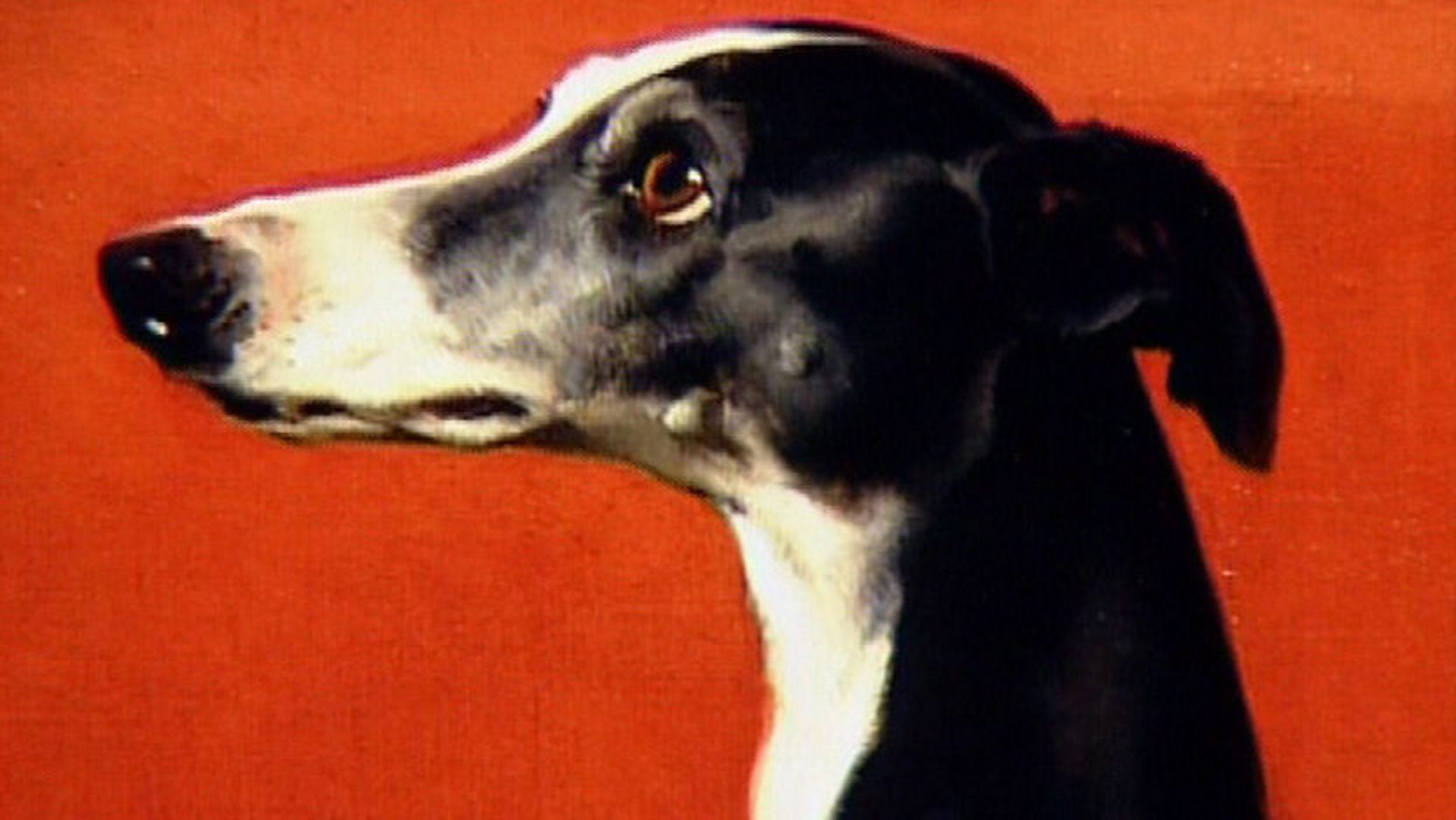 BBC Two - The Great Picture Trail, Vic Granger on Sir Edwin Landseer ...