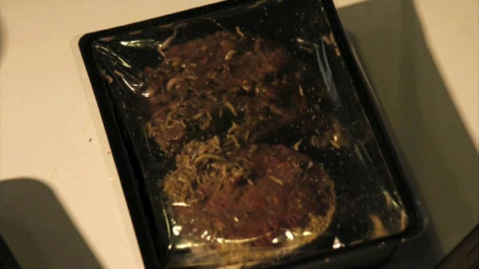 BBC Four - After Life: The Strange Science of Decay, Maggots On Burgers