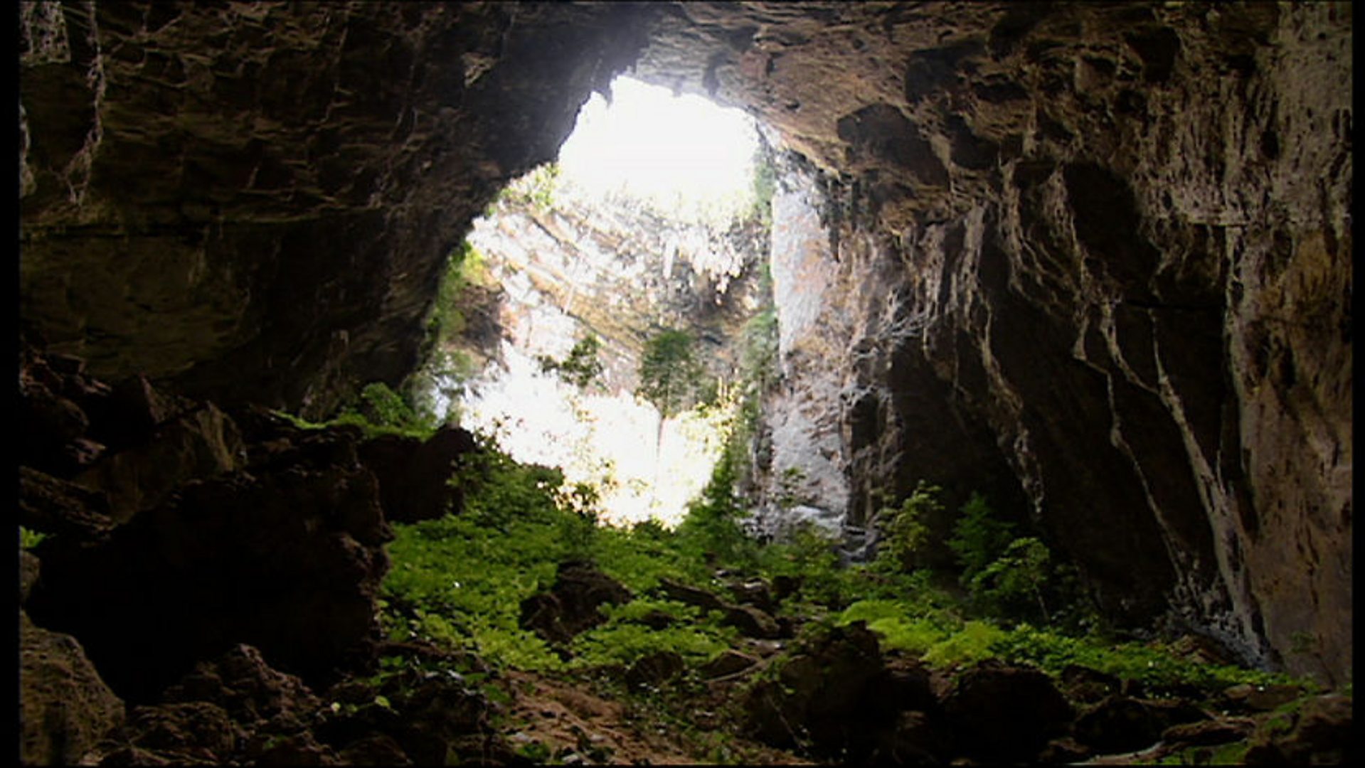 BBC One - Expedition Borneo, Episode 5, Underground abyss