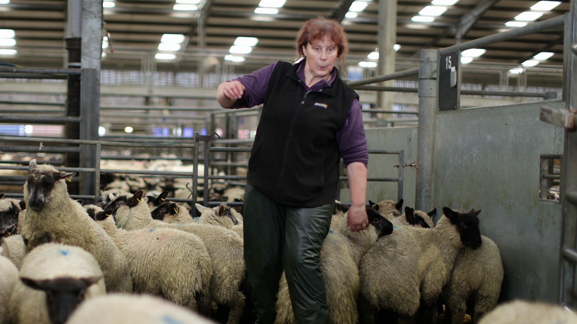 BBC Scotland - The Mart, Series 1, Farming Is a Family Business, Can ...