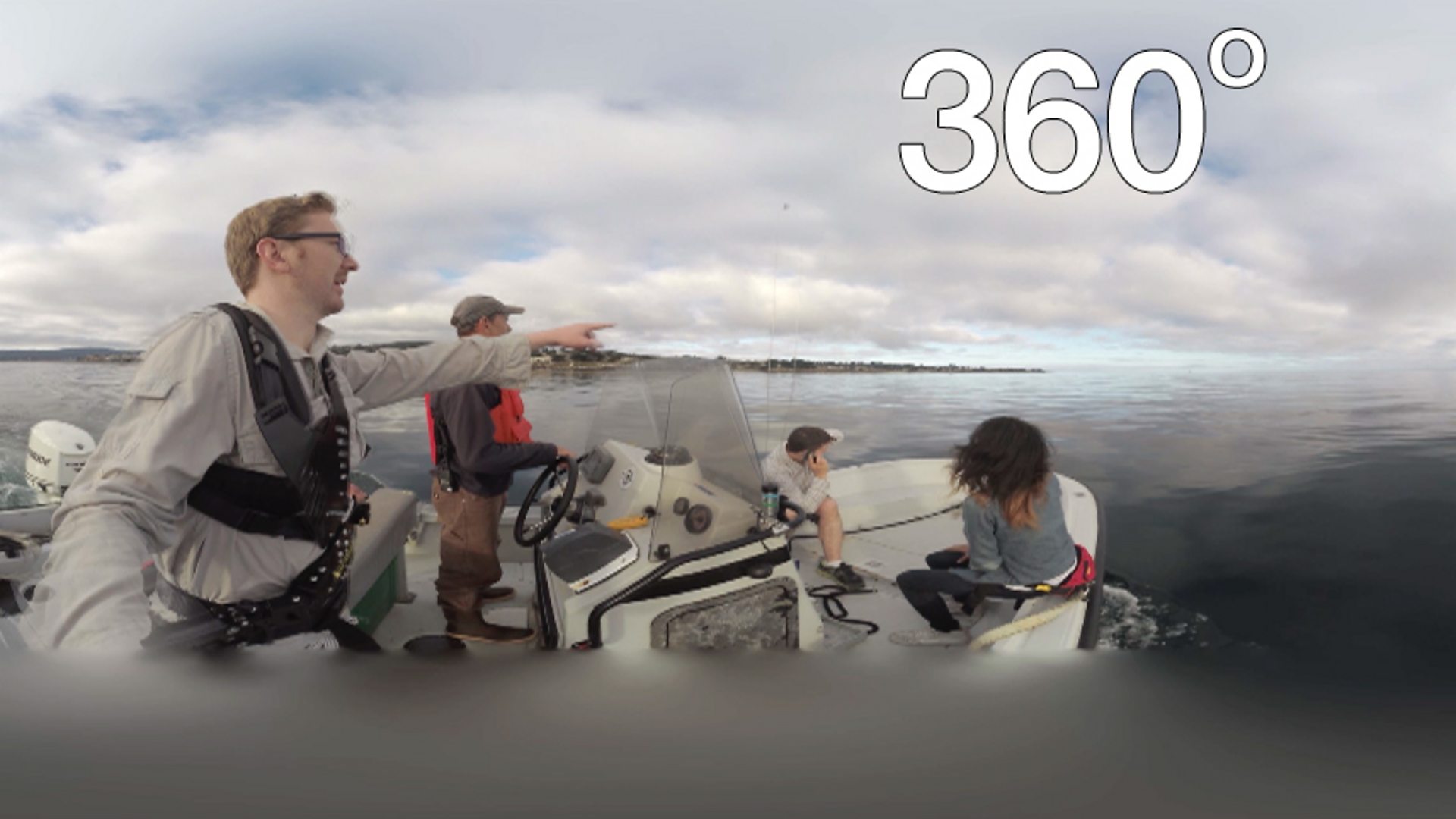 BBC Taster - Big Blue Live: Elephant seals