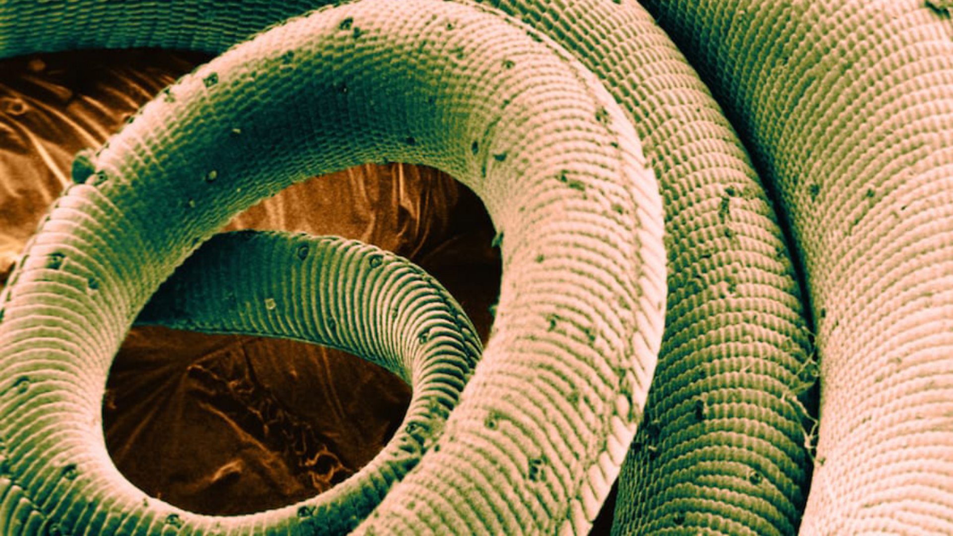 BBC Taster - What is That?