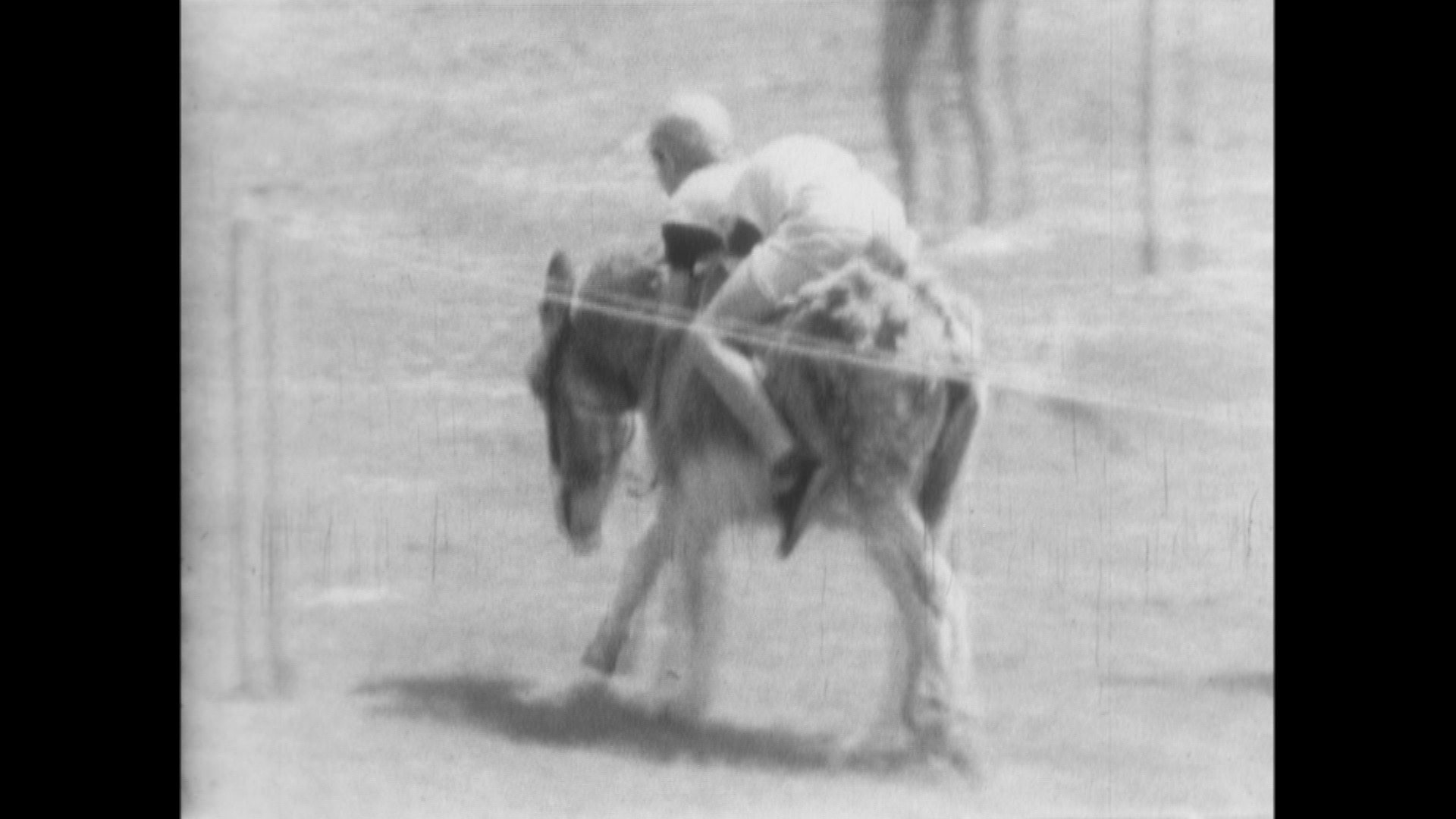 BBC One - Choice, Holiday Camps, Dangerous donkey rides