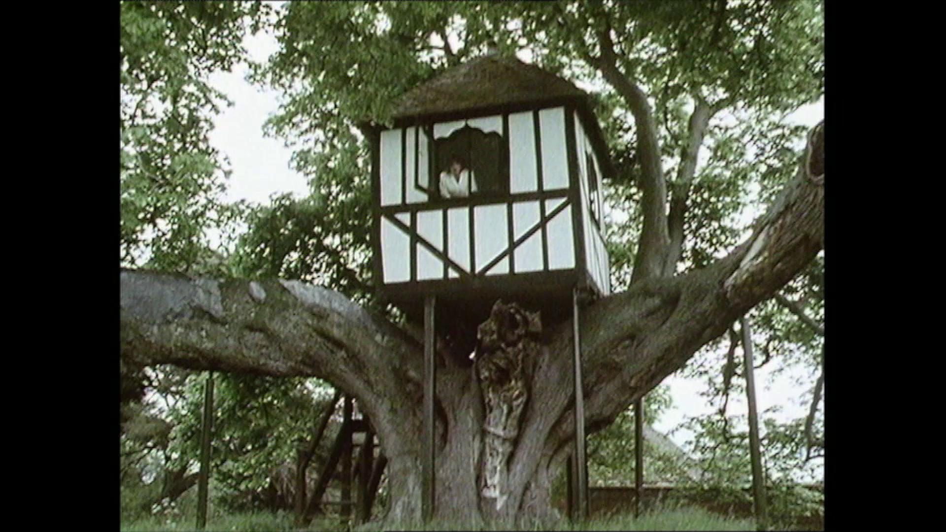 BBC Two - 40 Minutes, Desirable Dwellings, The Treehouse at Pitchford ...