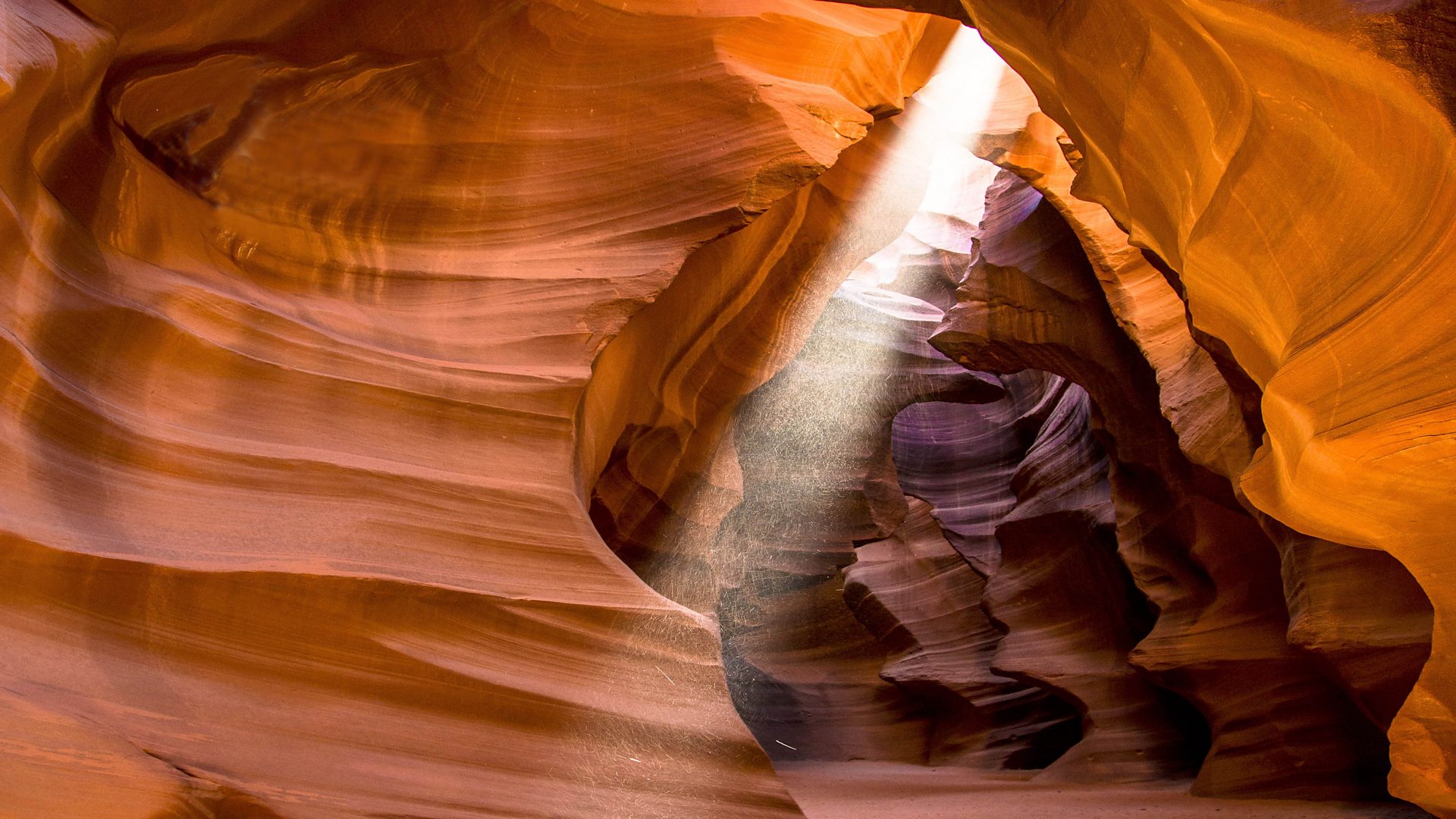 BBC Taster - Planet Earth II 360: Deserts