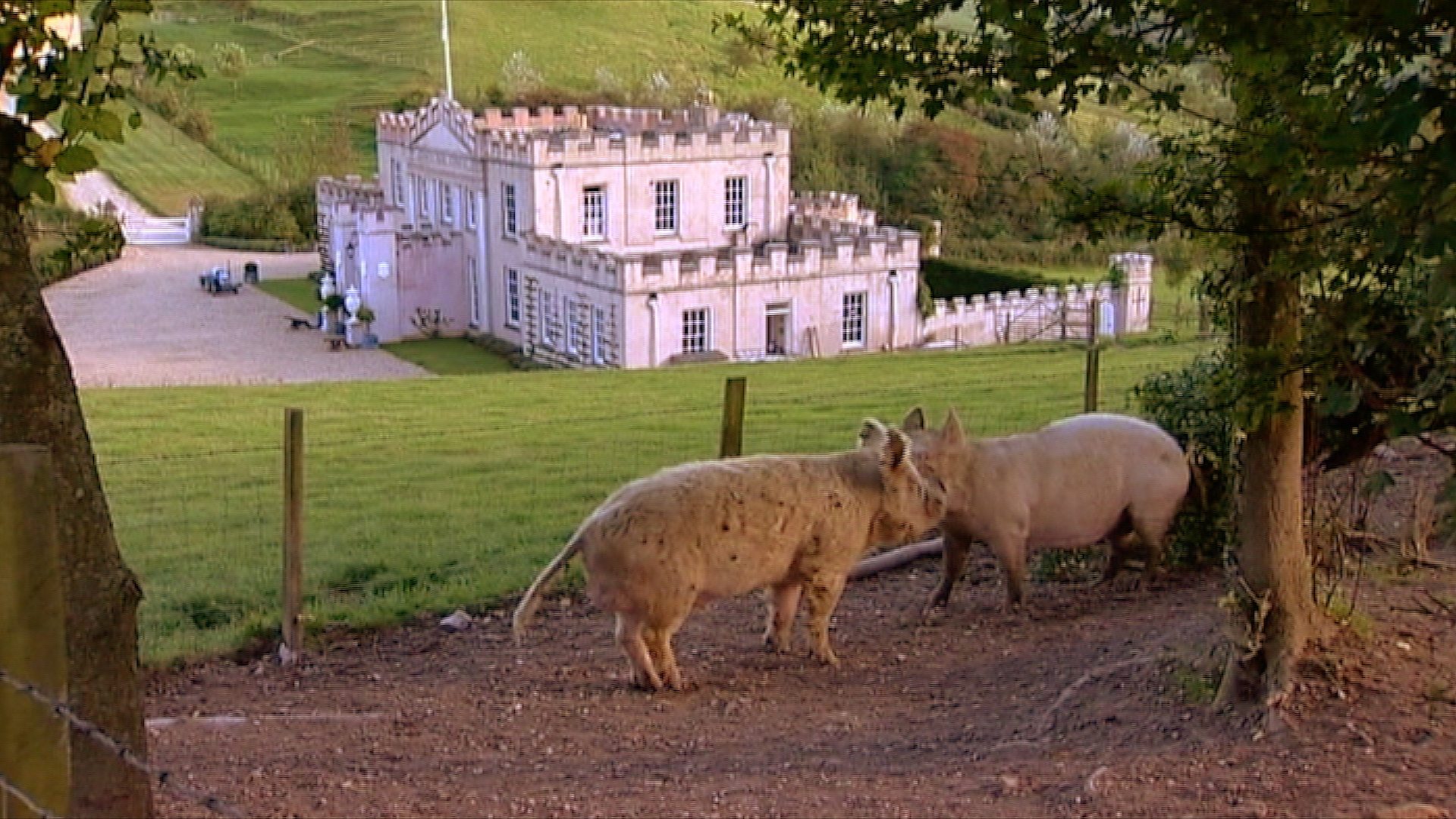 BBC iPlayer - The Curious House Guest - Series 1: 3. Bellamont