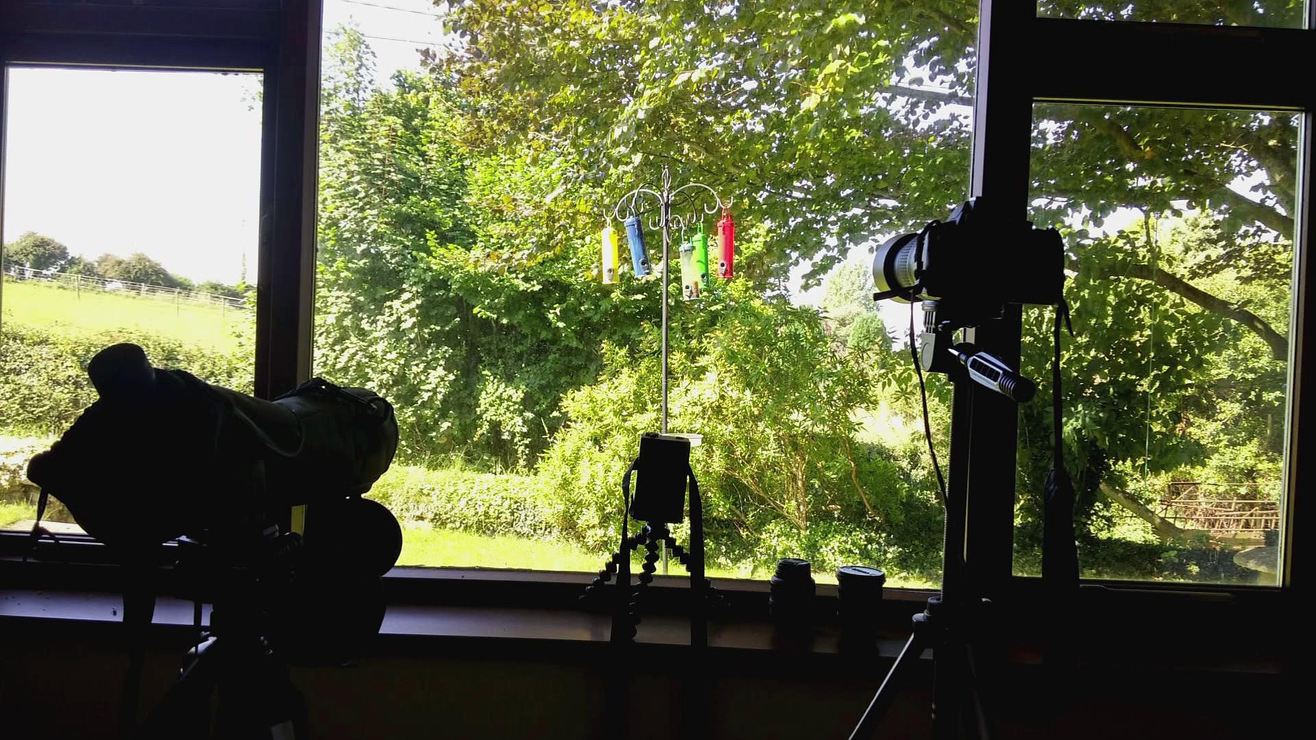 BBC Two - Springwatch, Bird feeder colour experiment